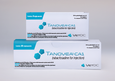 Lymphoma In Dogs | TANOVEA for Veterinarians | VetDC